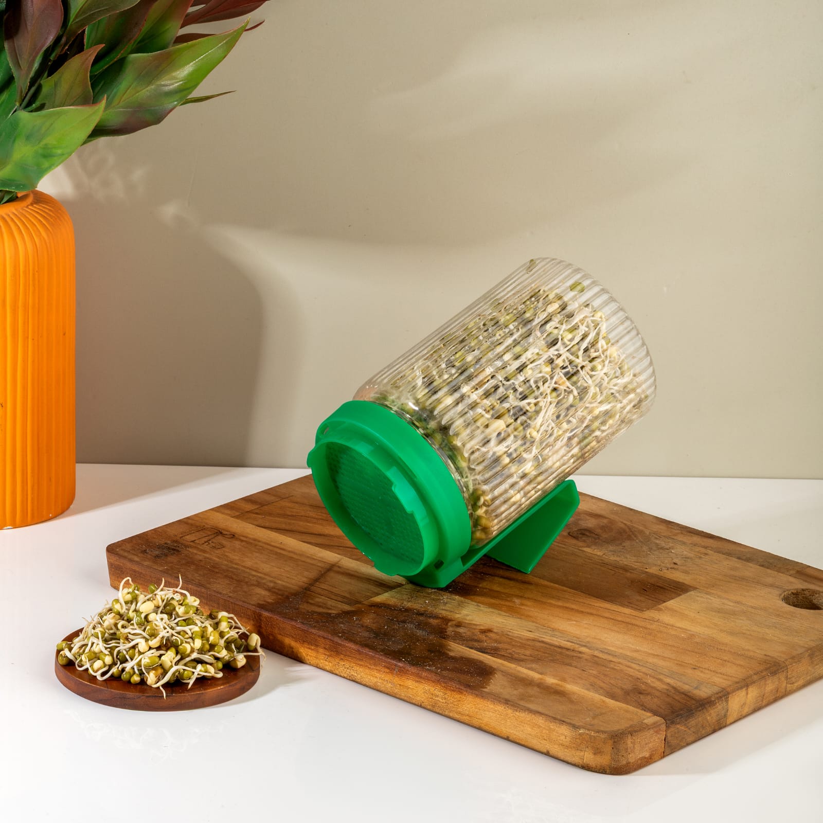 Nita Sprout Maker Jar with Stand 🌱 – Buy 1 Get 1 FREE | Easy Home Spro ...